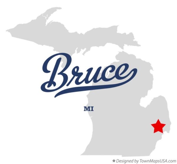 Private Investigator Bruce Township Michigan